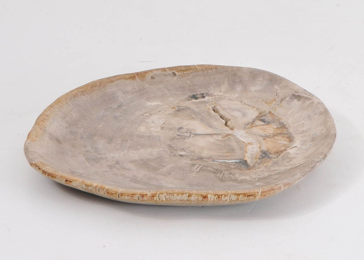Piatto in legno pietrificato - 43071J – Latitudini Mobili